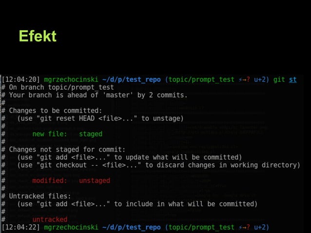 Gitkata fish shell | PDF | Programming Languages | Computing