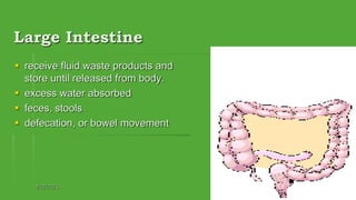 GIT LECTURE 1 Anatomy and Physiology.pptx