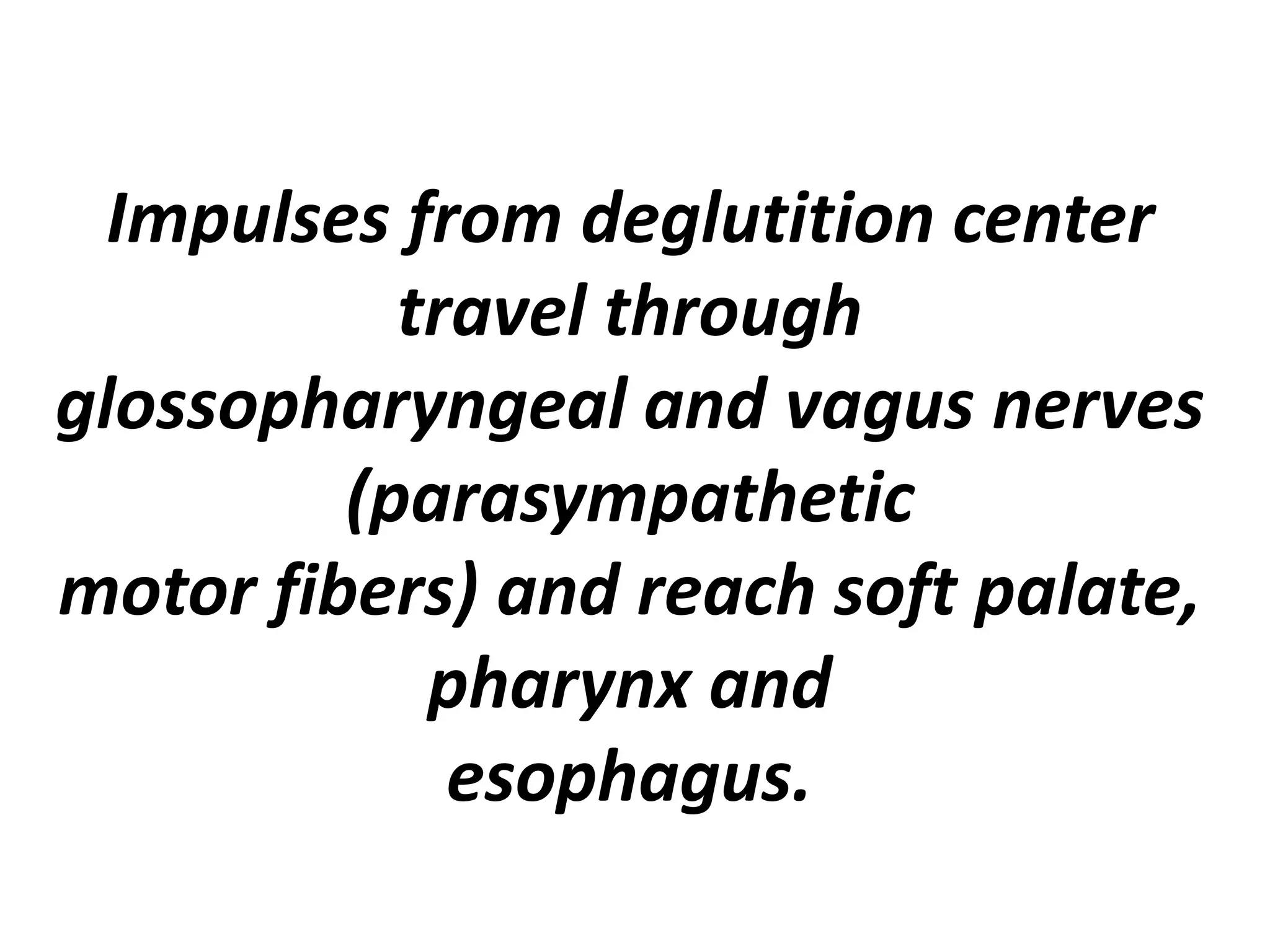 GIT LECTURE 2 ON MOUTH AND ESOPHAGUS.pptx | Ear, Nose and Throat Conditions | Diseases and ...