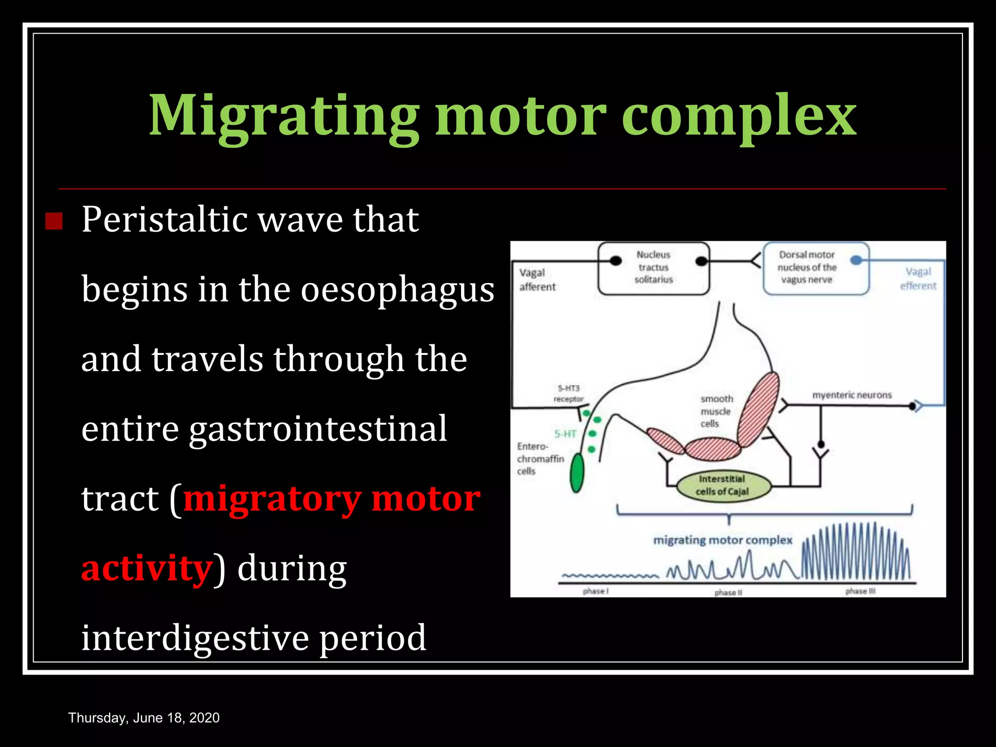 Git motility | PPT
