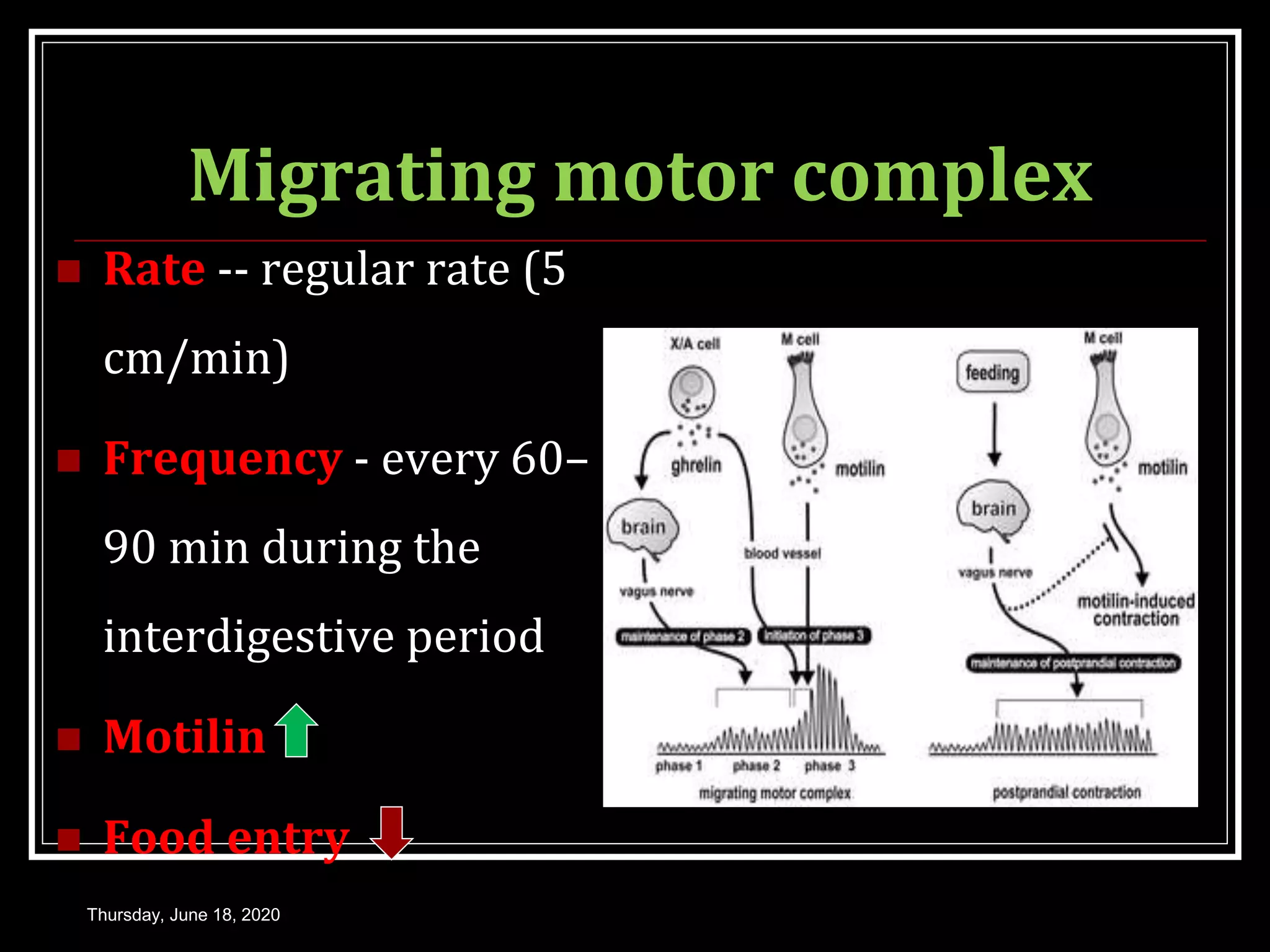 Git motility | PPT