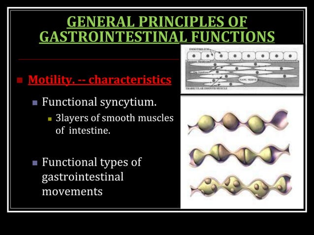 Git motility | PPT
