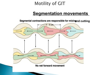 GIT Motility.ppt