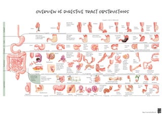 GIT obstructions .pdf clinical presentations | PPT