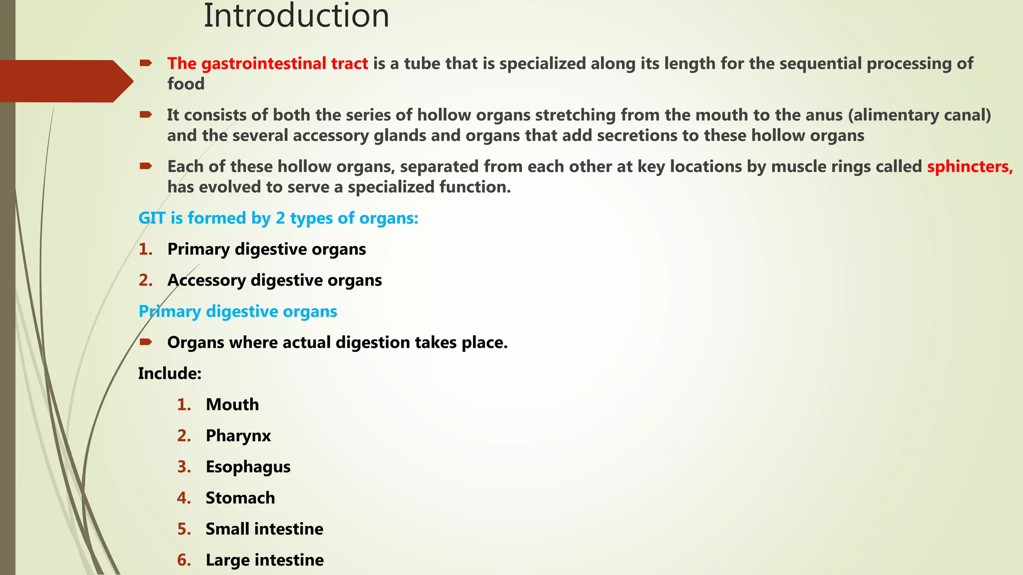 GIT PHYSIOLOGY 2 FUNCTIONAL ANATOMY | PPTX