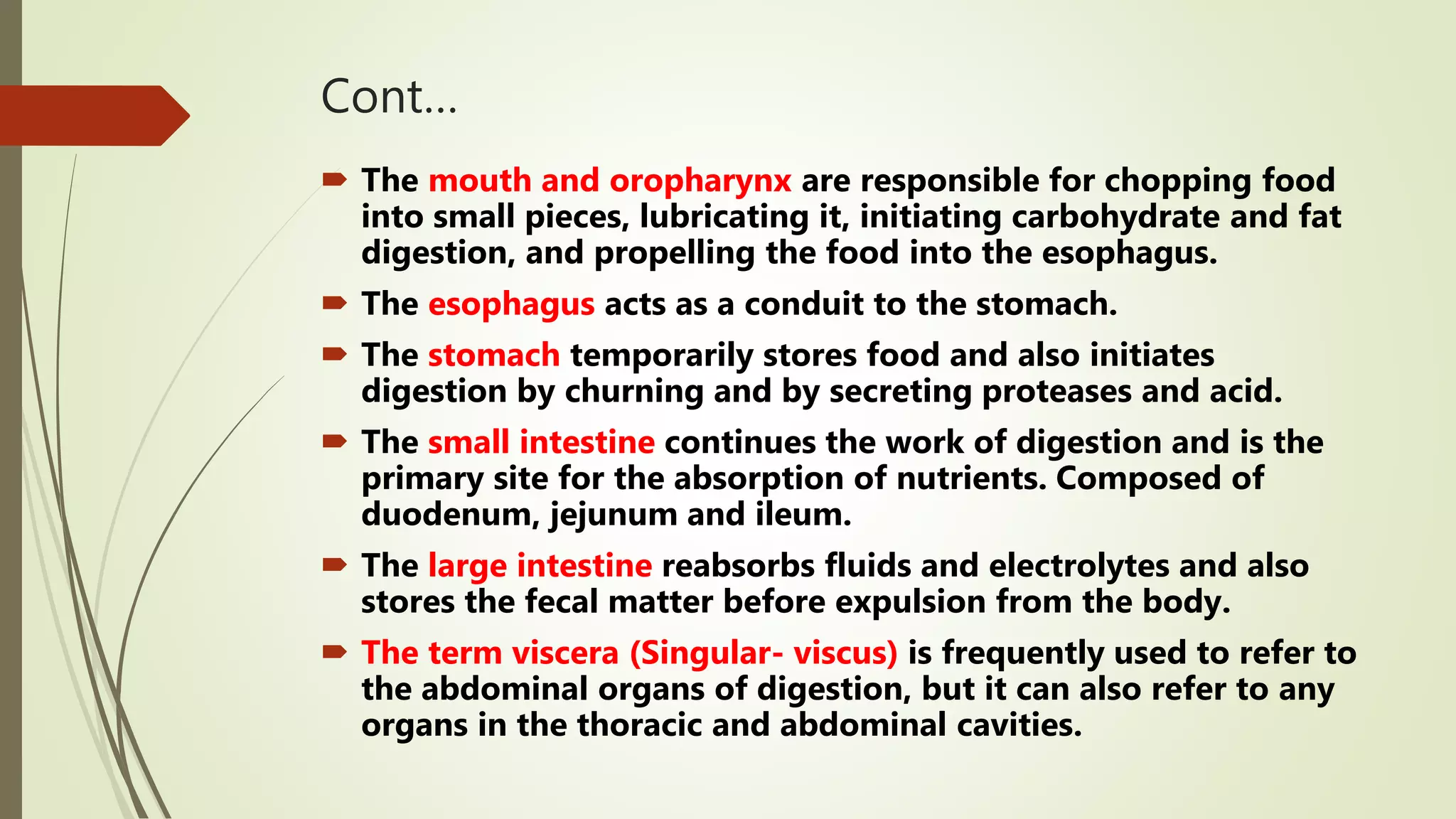 GIT PHYSIOLOGY 2 FUNCTIONAL ANATOMY | PPTX