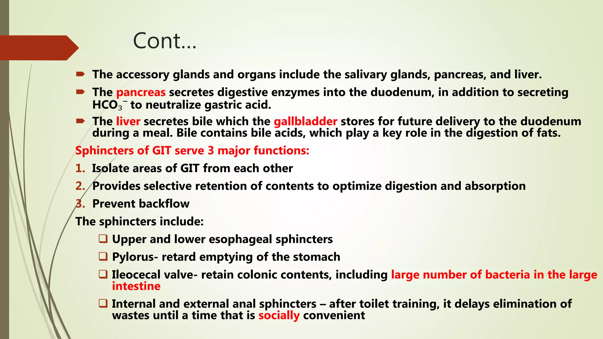 GIT PHYSIOLOGY 2 FUNCTIONAL ANATOMY | PPTX