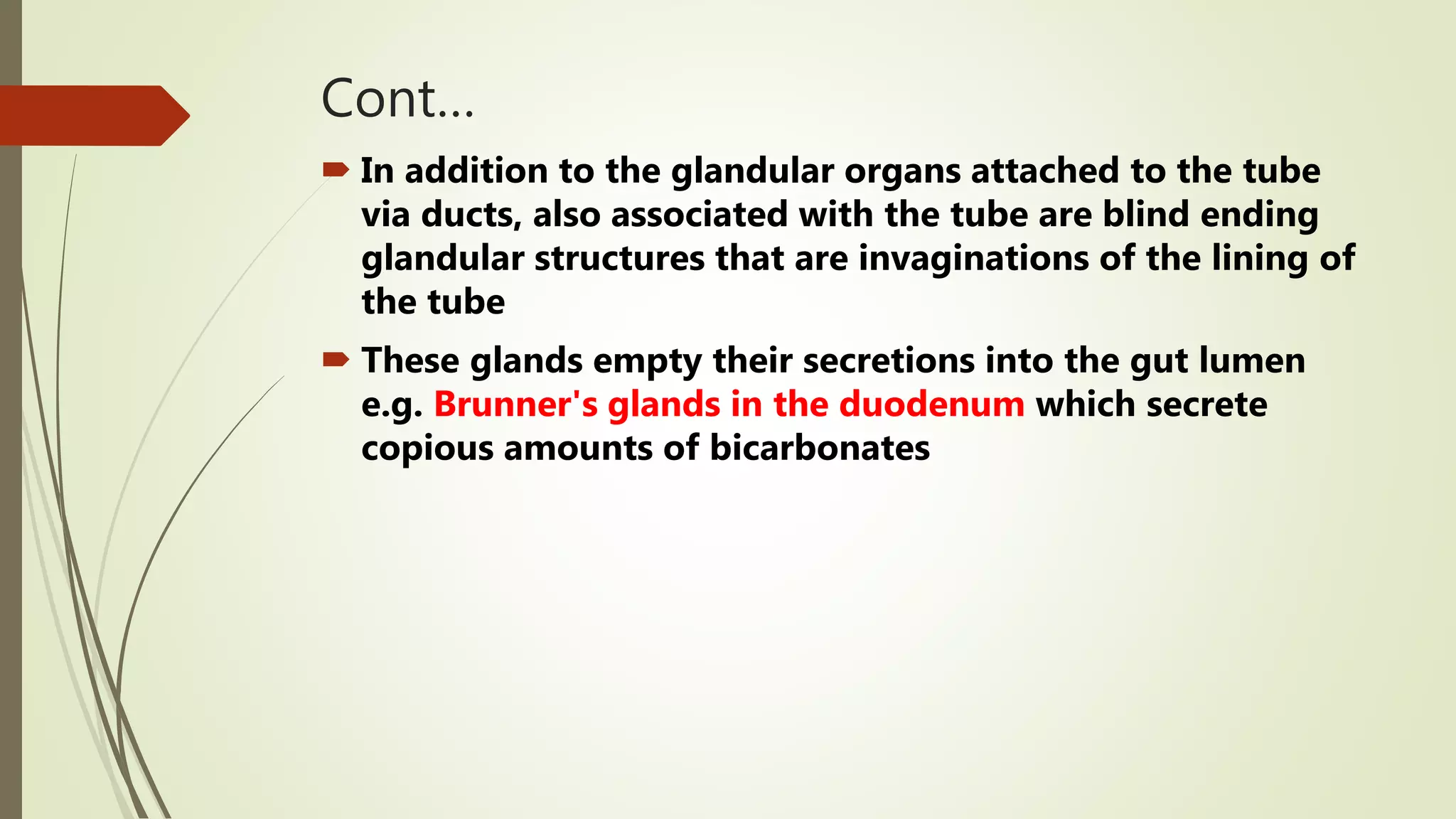 GIT PHYSIOLOGY 2 FUNCTIONAL ANATOMY | PPTX
