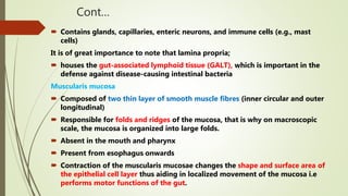 GIT PHYSIOLOGY 2 FUNCTIONAL ANATOMY | PPT
