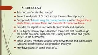 GIT PHYSIOLOGY 2 FUNCTIONAL ANATOMY | PPT