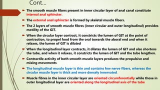 GIT PHYSIOLOGY 2 FUNCTIONAL ANATOMY | PPT