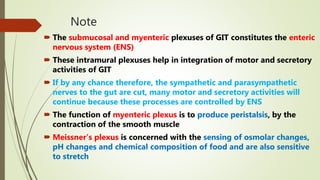 GIT PHYSIOLOGY 2 FUNCTIONAL ANATOMY | PPTX
