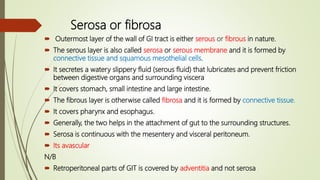 GIT PHYSIOLOGY 2 FUNCTIONAL ANATOMY | PPT