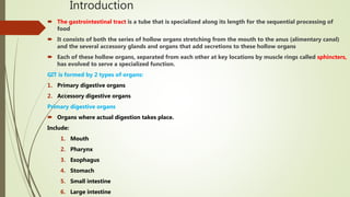 GIT PHYSIOLOGY 2 FUNCTIONAL ANATOMY | PPTX