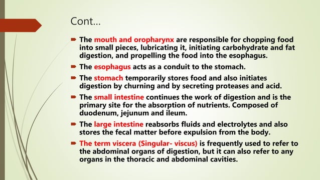 GIT PHYSIOLOGY 2 FUNCTIONAL ANATOMY | PPTX
