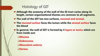 GIT PHYSIOLOGY 2 FUNCTIONAL ANATOMY | PPT