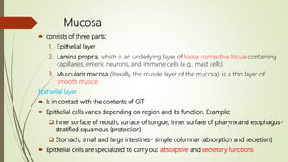 GIT PHYSIOLOGY 2 FUNCTIONAL ANATOMY | PPT