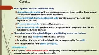 GIT PHYSIOLOGY 2 FUNCTIONAL ANATOMY | PPT