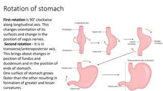 GIT embryology By Dr Parashuram Waddar Pediatrician | PPTX