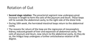 GIT embryology By Dr Parashuram Waddar Pediatrician | PPTX