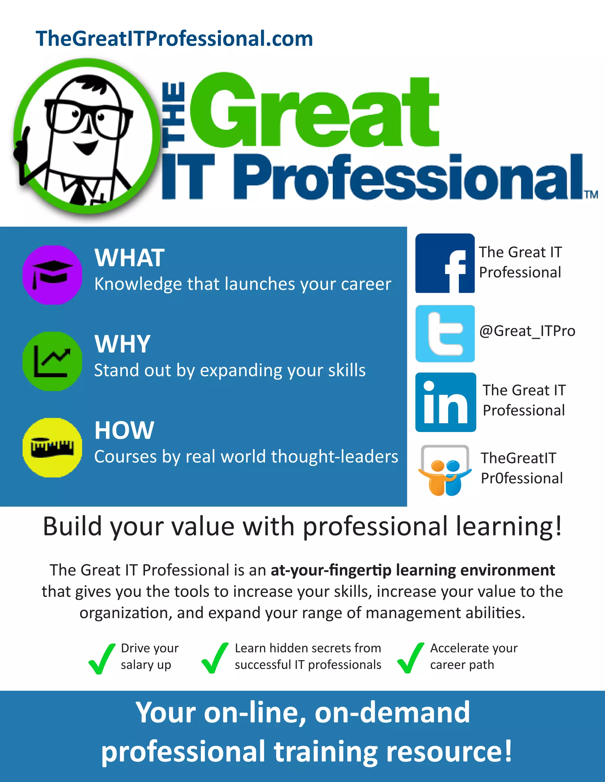 The Great IT Professional | PDF