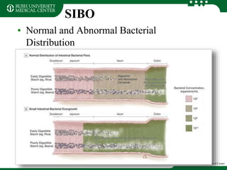 Scleroderma (Systemic Sclerosis) and the GI Tract | PPT