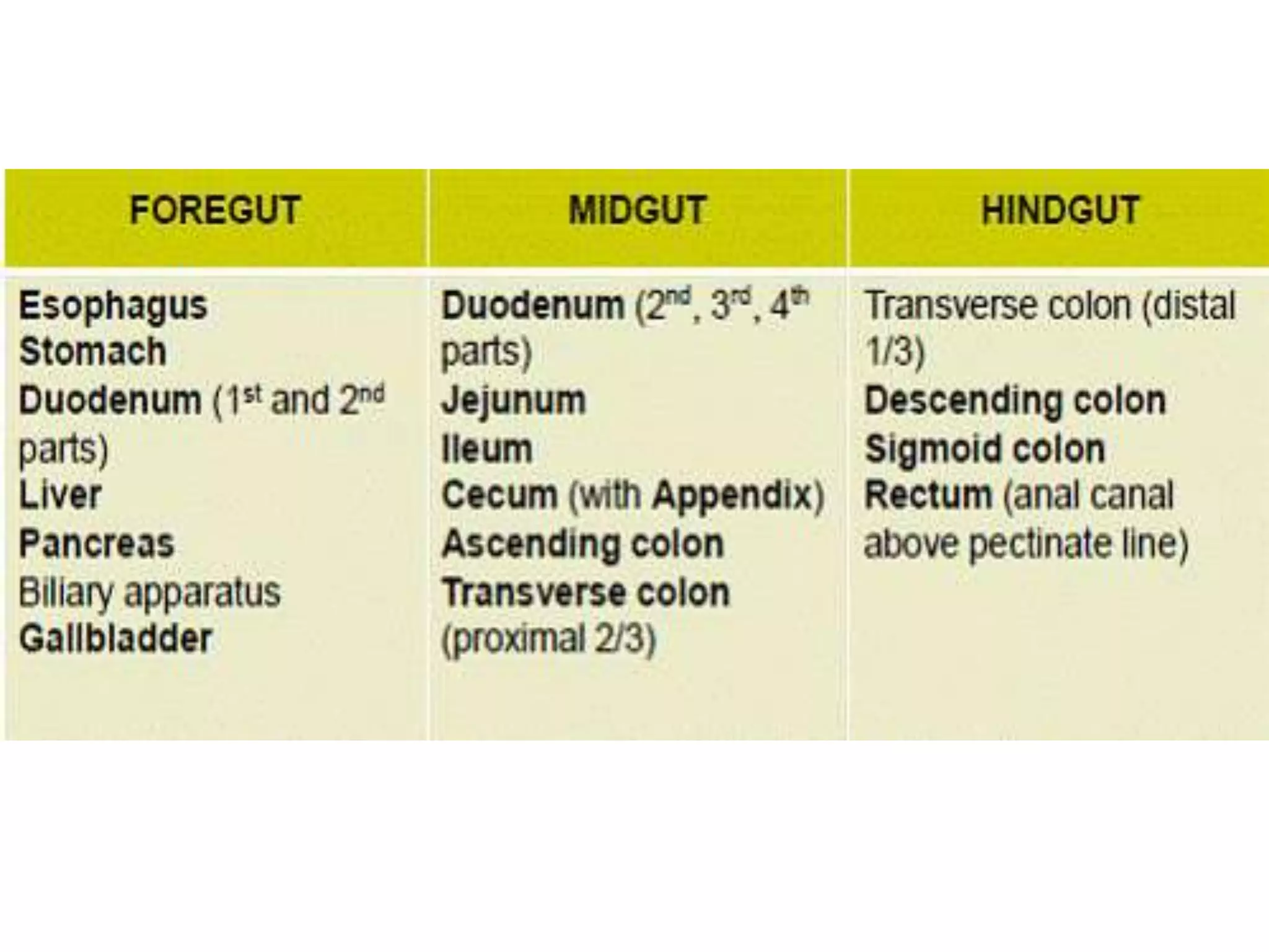 DEVELOPMENT OF GIT AND CONGENITAL ANOMALIES OF GIT | PPTX