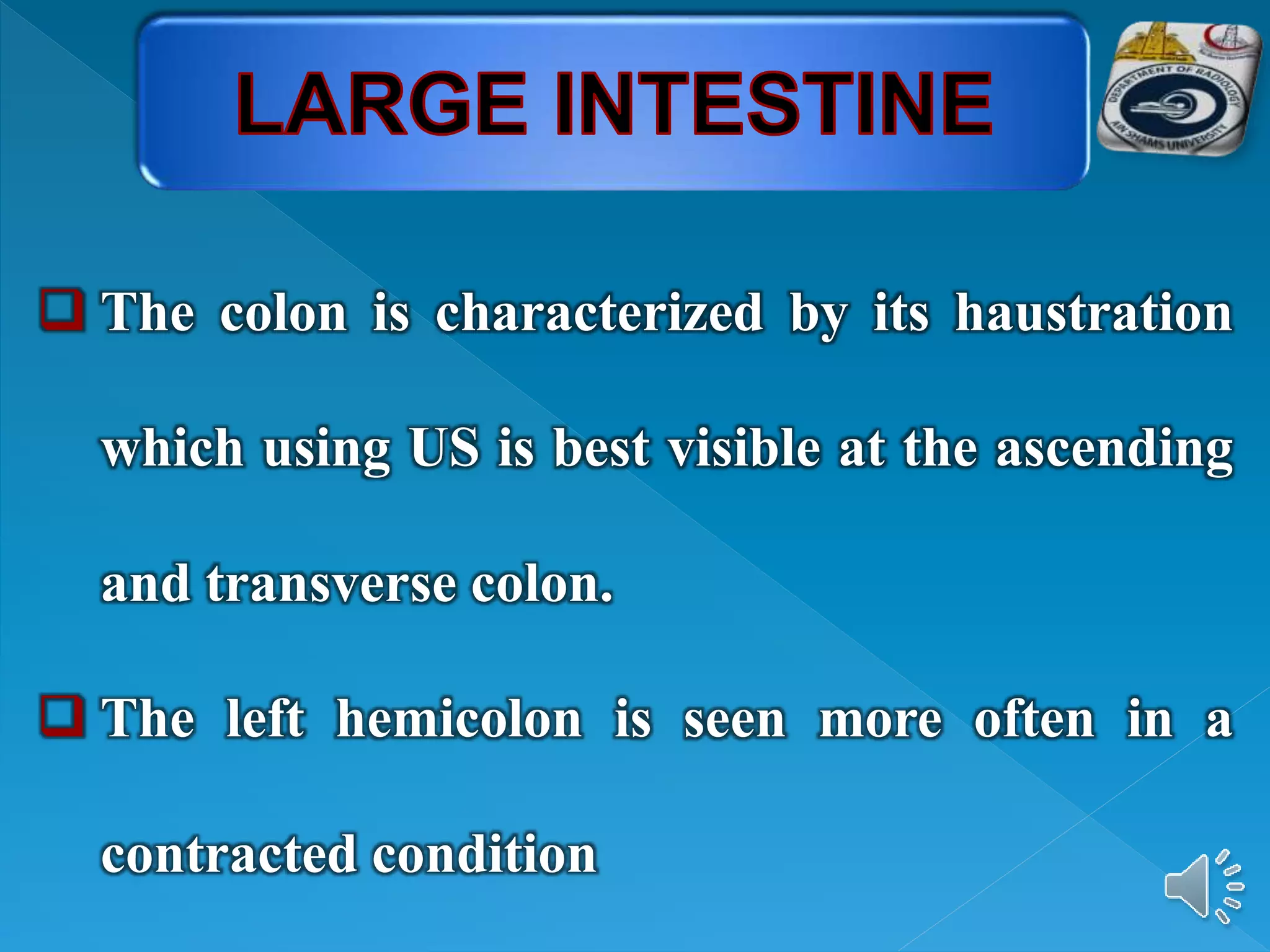 Git ultrasound part I technique & normal appearance | PPT