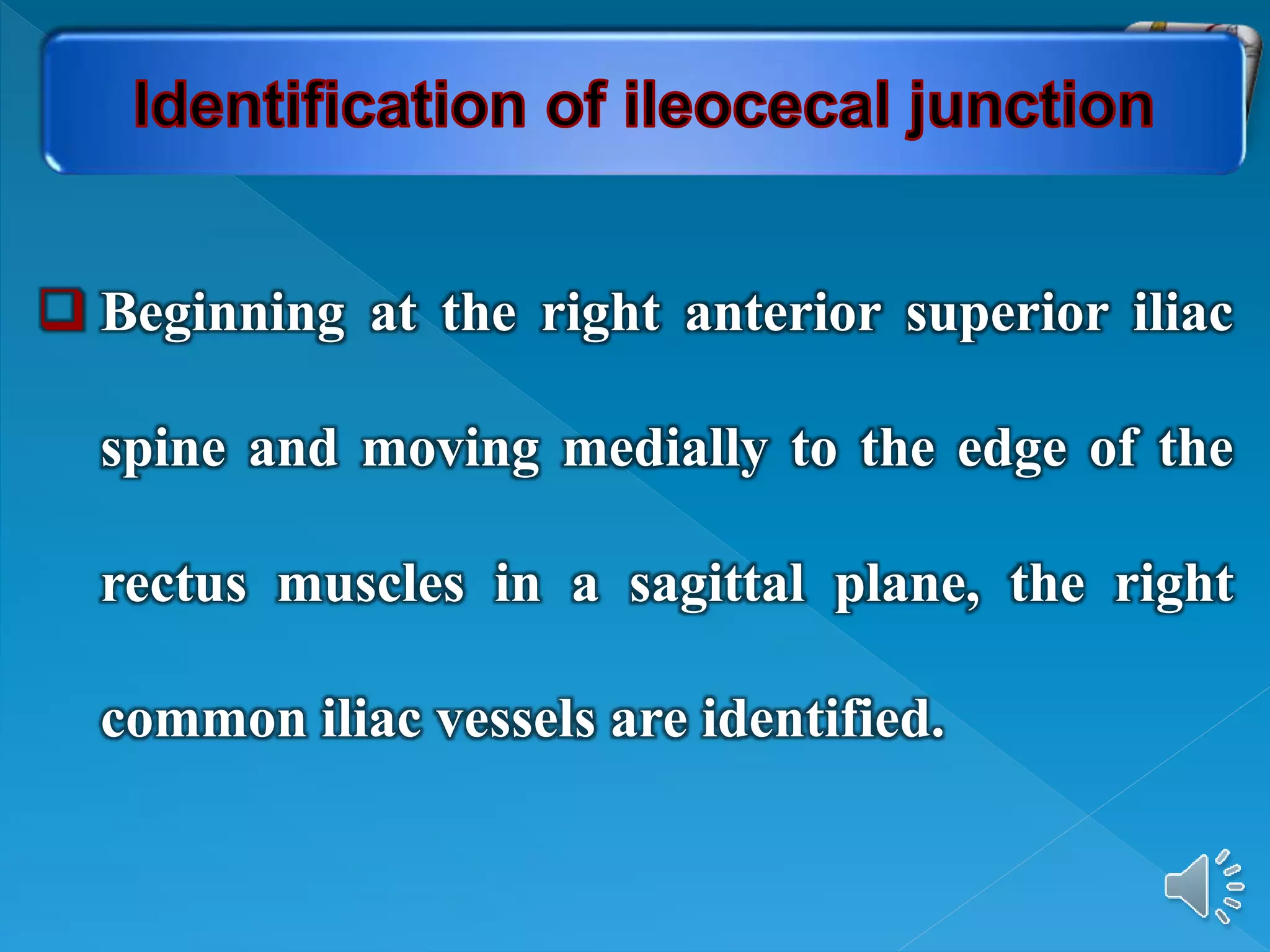 Git ultrasound part I technique & normal appearance | PPT