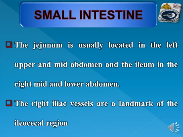 Git ultrasound part I technique & normal appearance | PPT