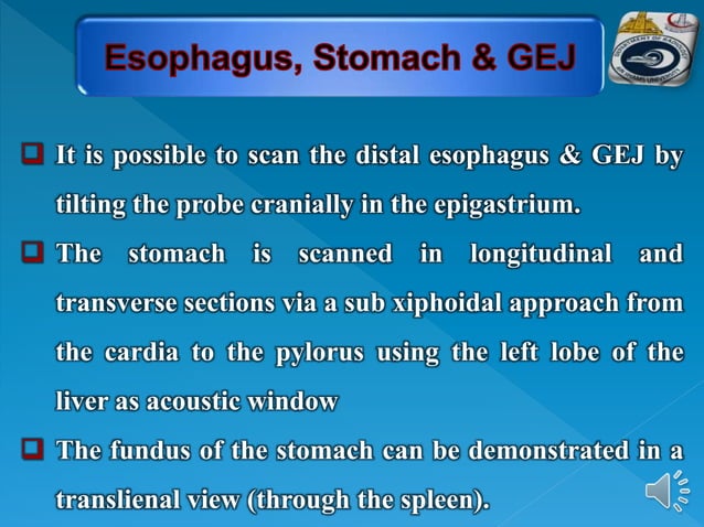 Git ultrasound part I technique & normal appearance | PPT