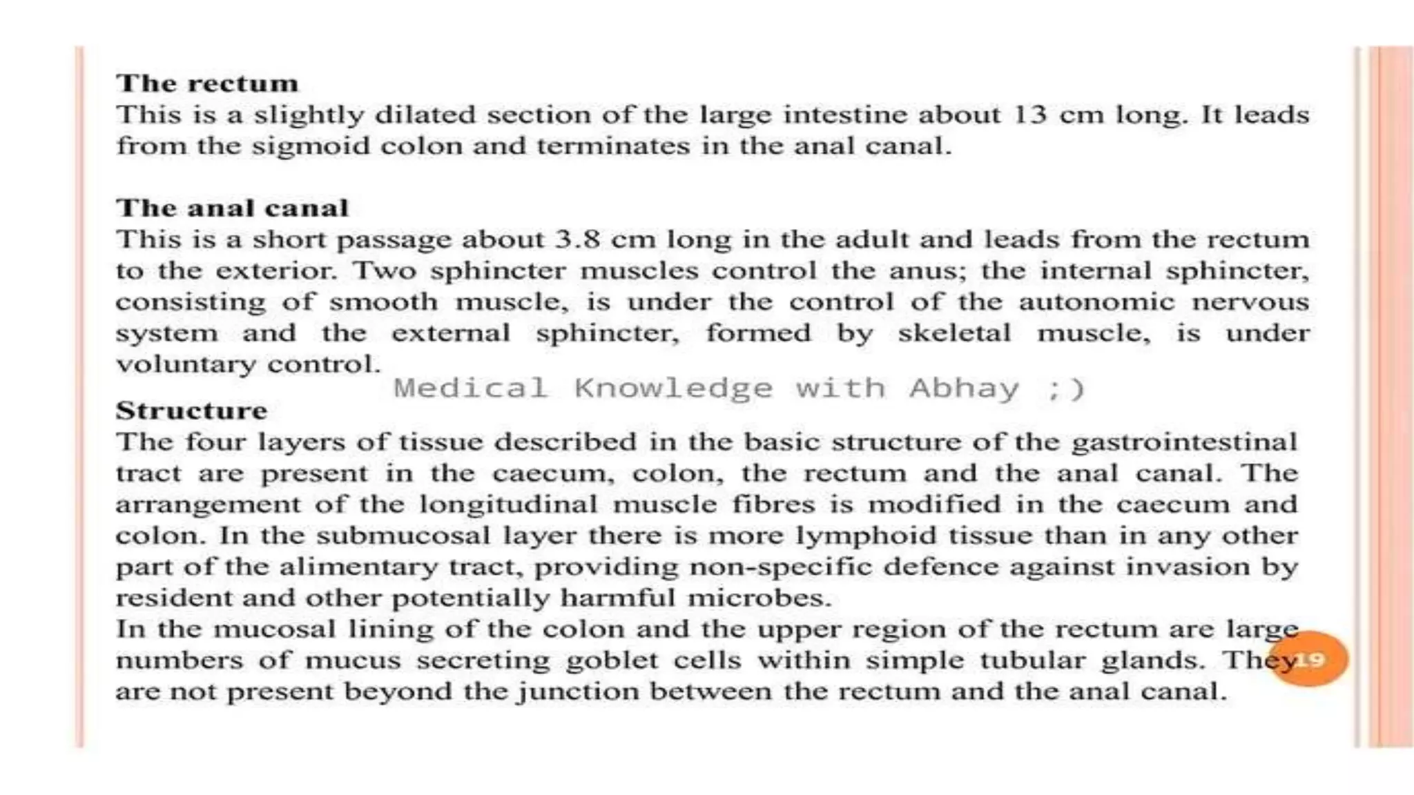 DIGESTIVE SYSTEM ANATOMY AND PHYSIOLOGY SLIDESHARE | PPTX