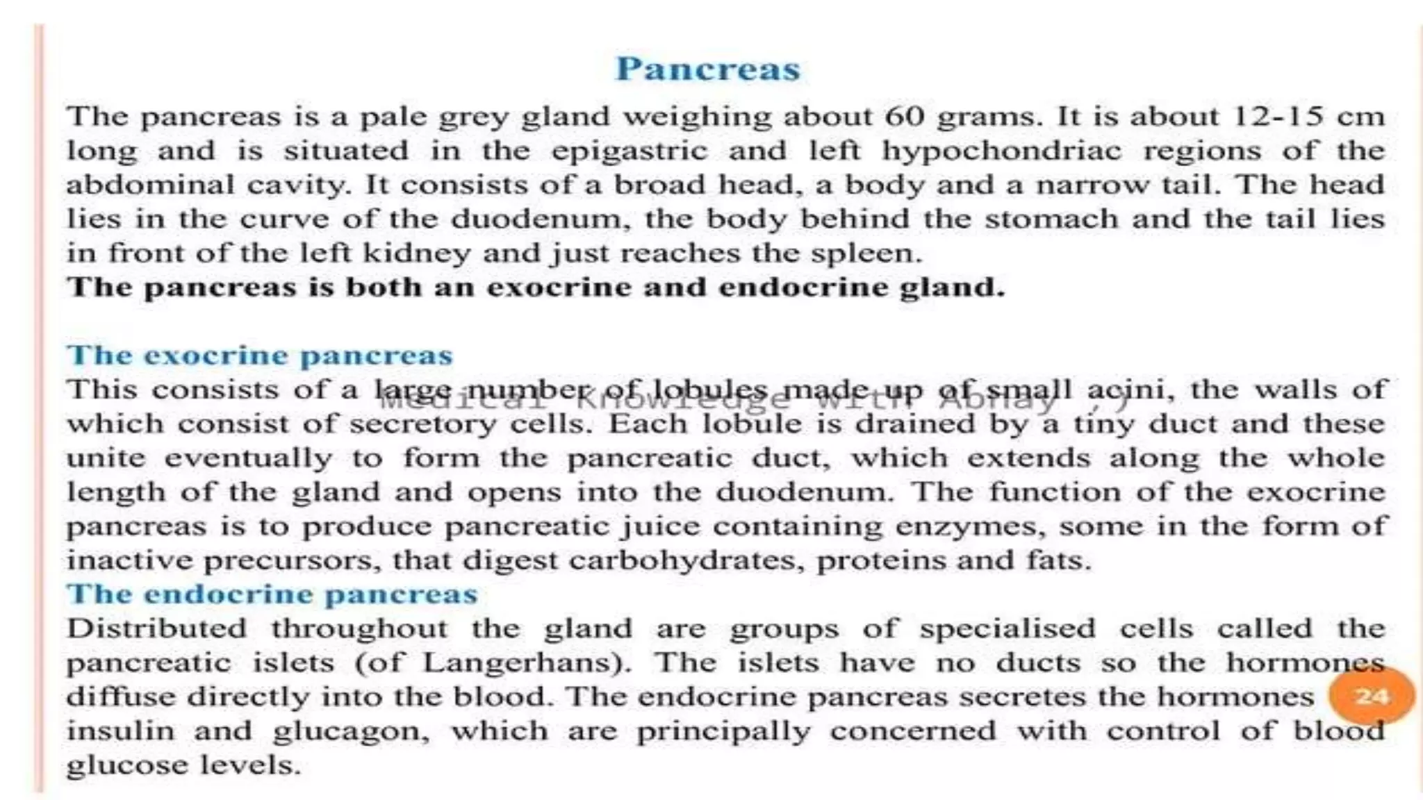 DIGESTIVE SYSTEM ANATOMY AND PHYSIOLOGY SLIDESHARE | PPTX