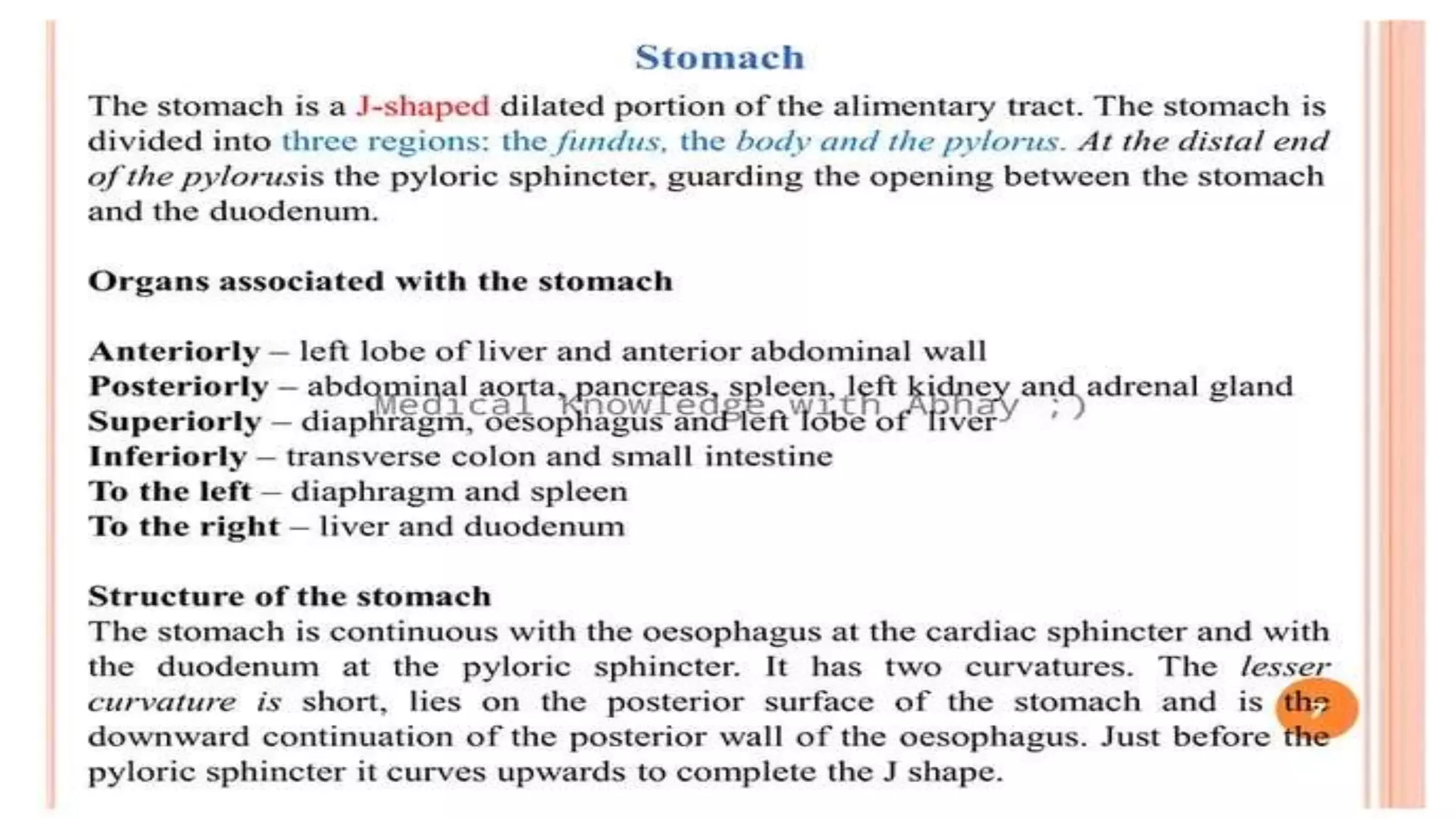 DIGESTIVE SYSTEM ANATOMY AND PHYSIOLOGY SLIDESHARE | PPTX