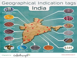 geographical indication | PPT