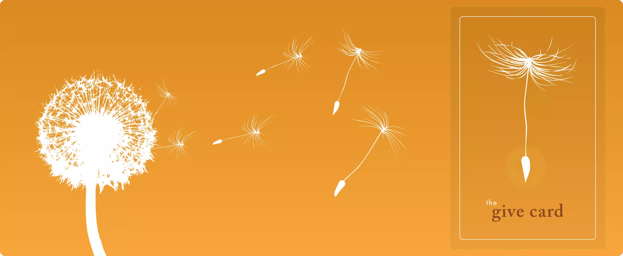 Give Card Seed Concept | PDF