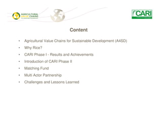 Developing the rice value chain in East and West Africa Major ...