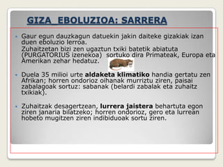 Giza eboluzioa | PPT