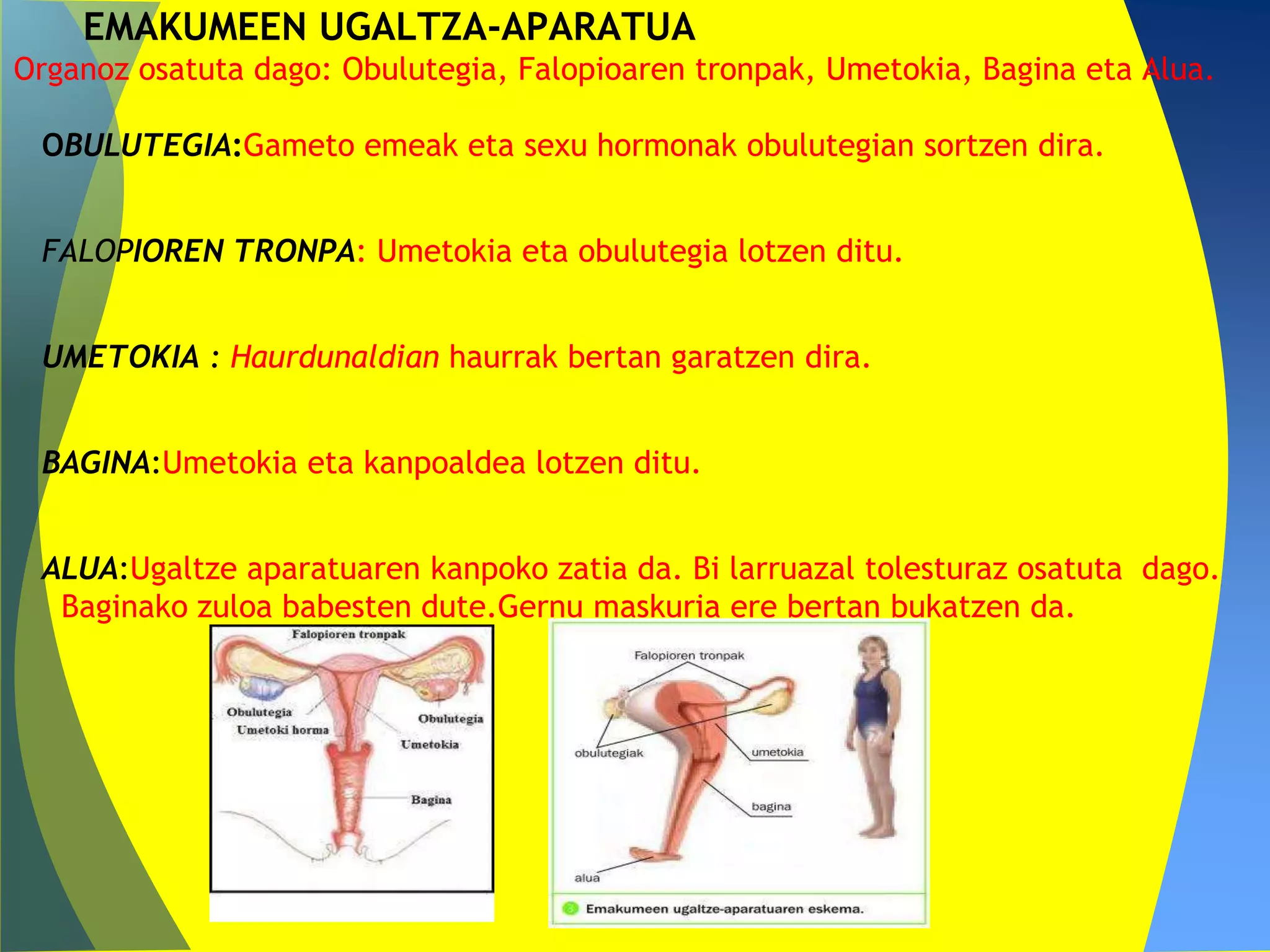 Giza ugalketa 1 LH 6.A | PPTX