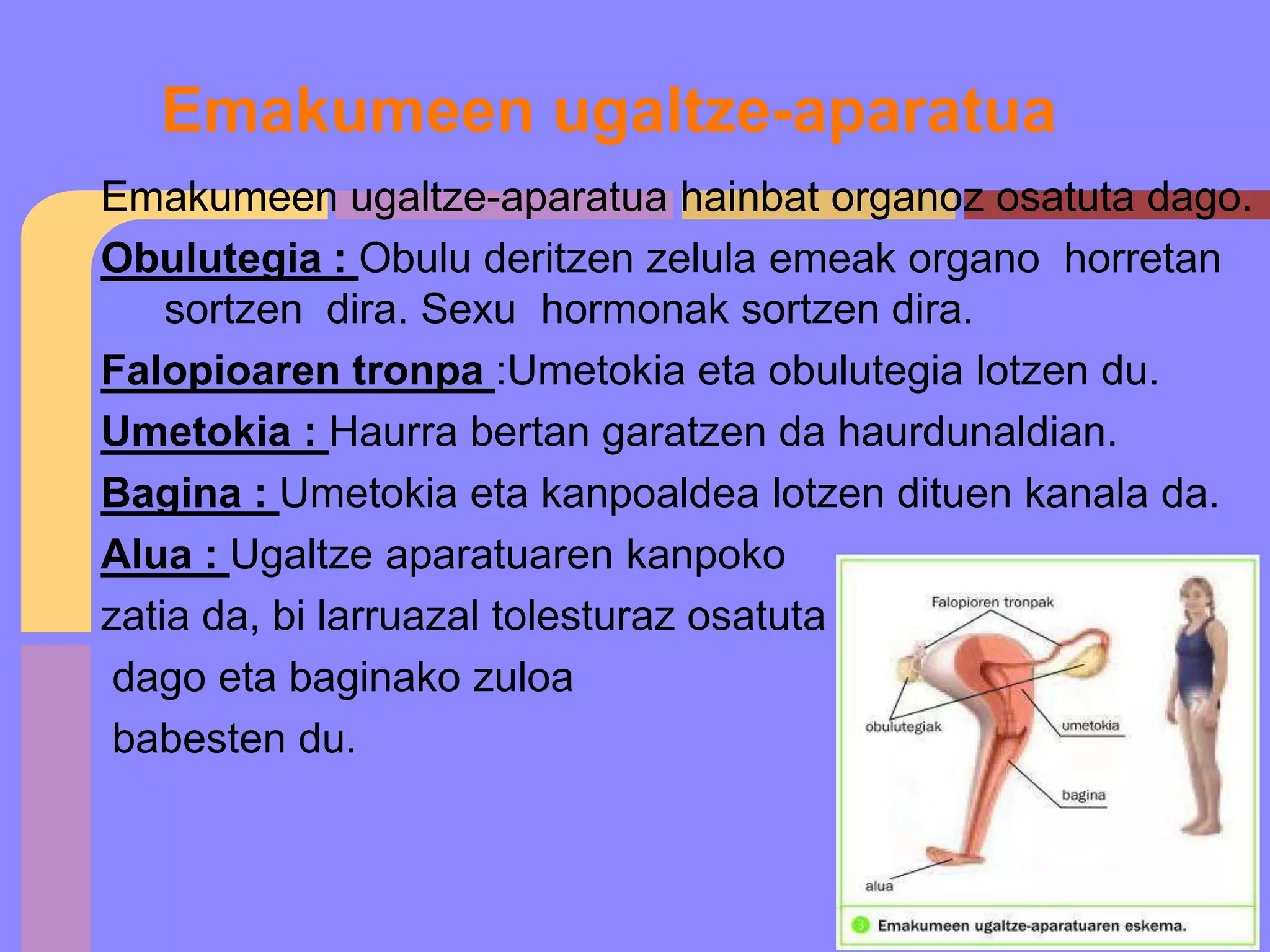 Giza ugalketa 5 LH 6.A | PPT