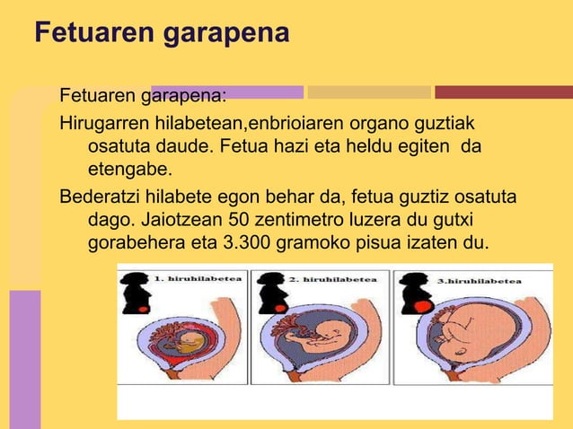 Giza ugalketa 5 LH 6.A | PPT