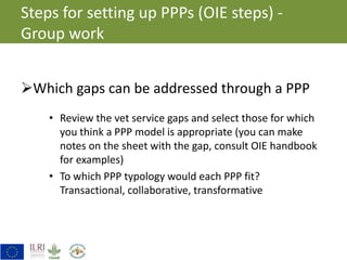Understanding public-private partnerships | PPTX
