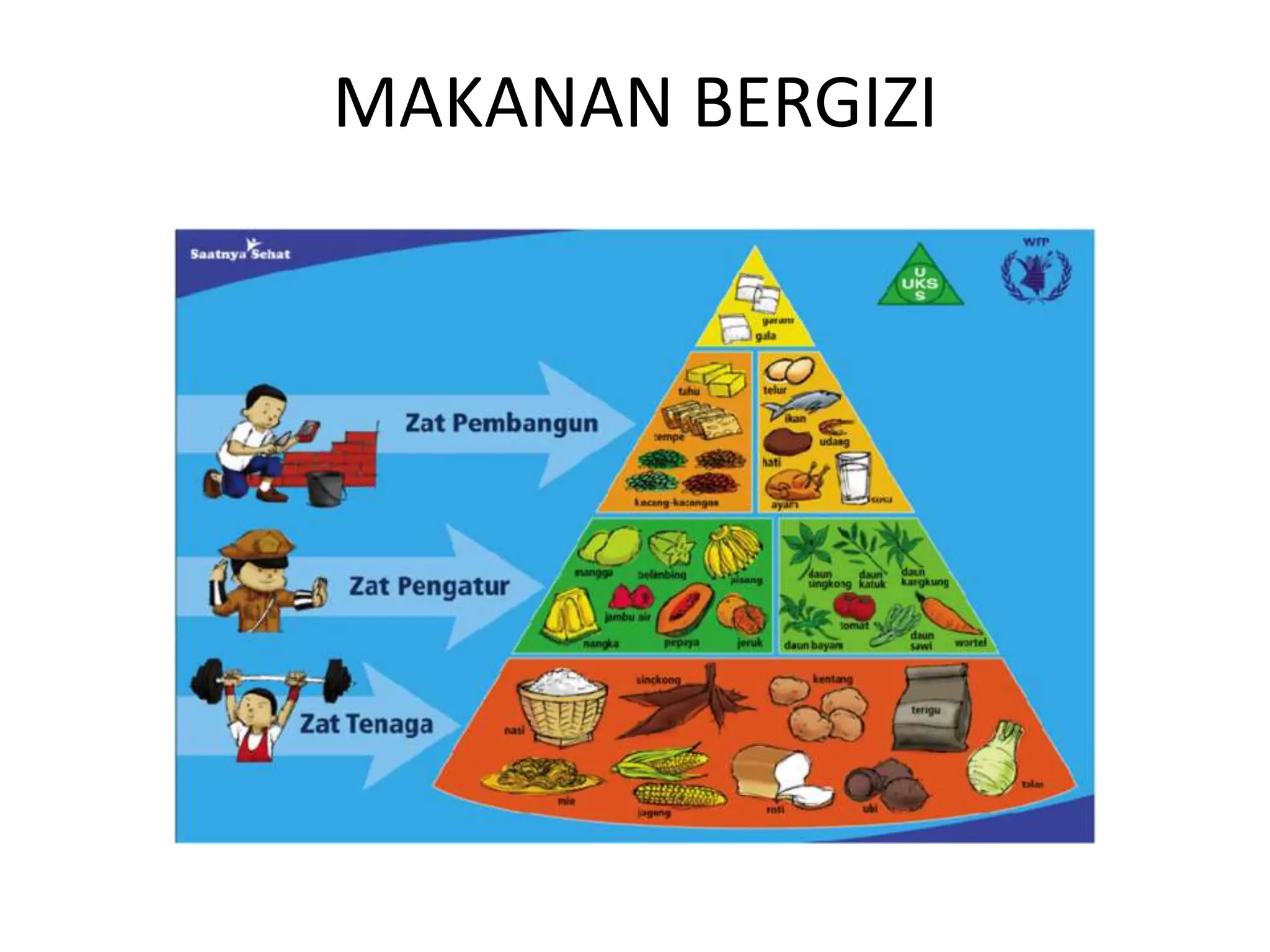 GIZI BUMIL.ppt