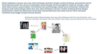 Gizi Dalam Daur kehidupan 1.pptx