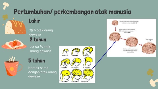 Gizi ibu hamil dalam pencegahan stunting.pptx