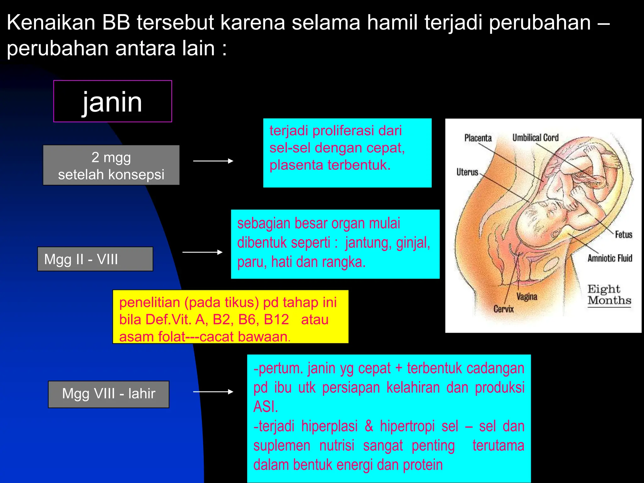 Gizi pada ibu hamil trimester satu, dua dan tiga | PPT