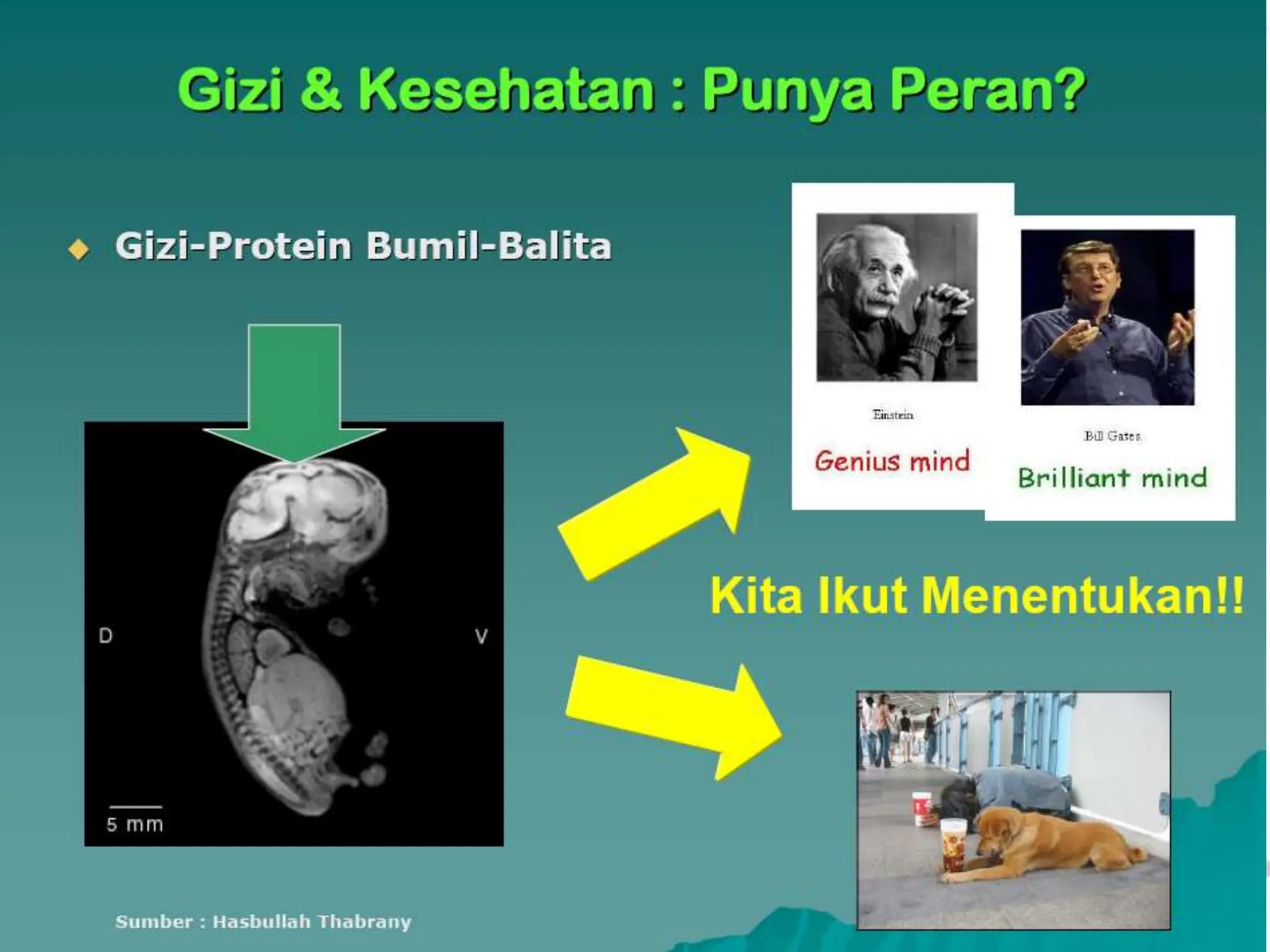 Bahan untuk presentasi Keluarga Sadar Gizi.ppt