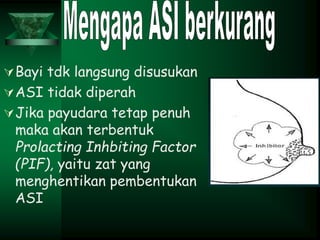GIZI_MENYUSUI.ppt
