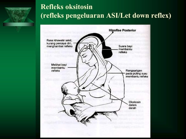 GIZI_MENYUSUI.ppt