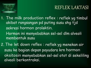 GIZI_MENYUSUI.ppt